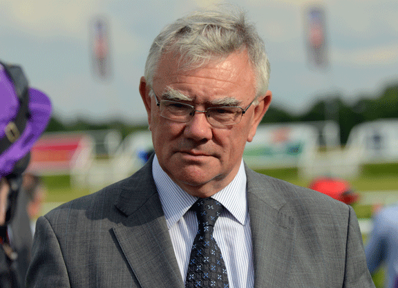 Our Trainers – Mereside Racing